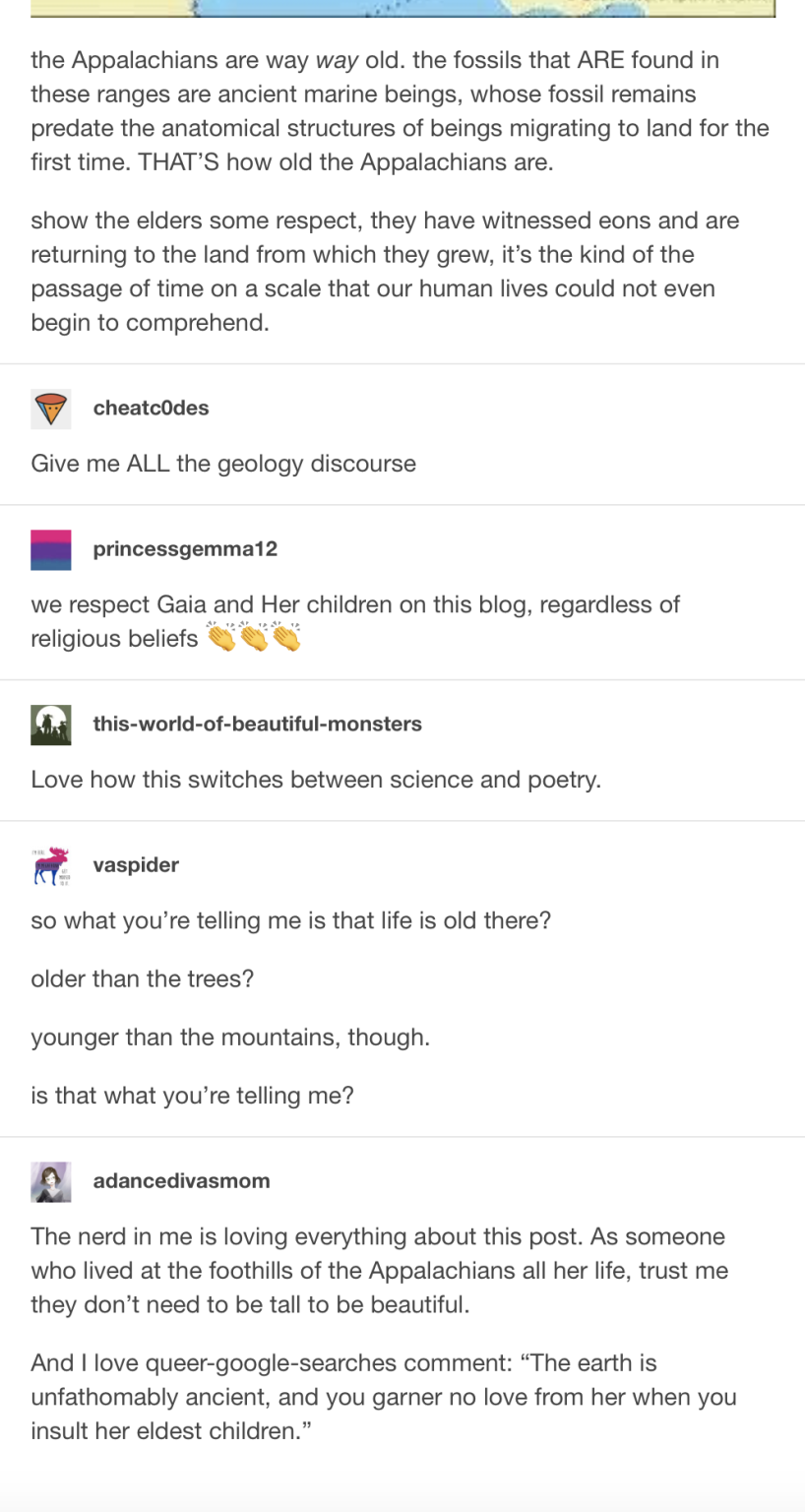 Modernizing Reblogs at Tumblr – Portfolio of Bethany Heck